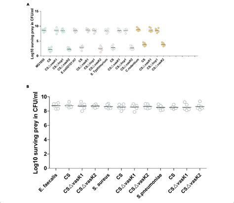 C Sakazakii Targets Gram Negative Species In A T6ss 1 Dependent