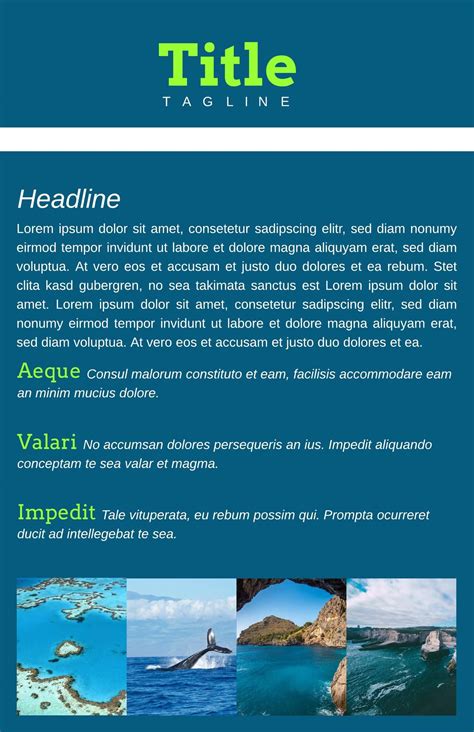 800 Free Leaflet Templates Examples Lucidpress