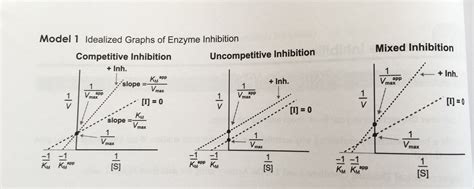 Solved 2 How Does The Value Of V Max For The Enzyme Compare Chegg Com