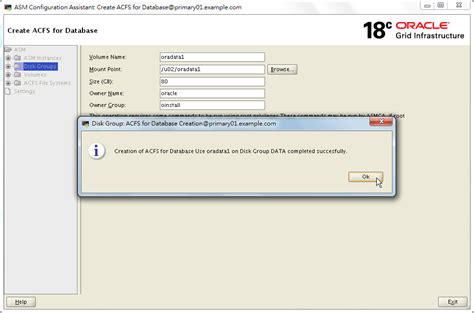 Create Acfs File System Exadata At Hudson Facy Blog