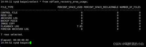Oracle数据库闪回fra磁盘组 Csdn博客