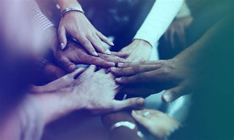 从数量到质量人工智能训练数据的演进 夏普