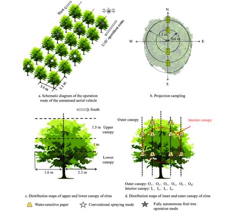 Schematic Diagram Of Test Methods 241 Elm Canopy Sampling Method Each