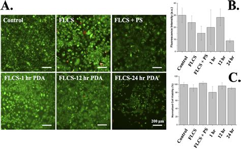 Polydopamine Surface Functionalization Of 3d Printed Resin Material For