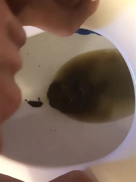 Sexy Booty Hot Dump Em Inglês