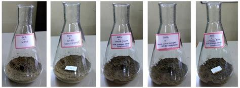 Experimental Set Up For The Soil Jar Experiment In Presence Or Absence Download Scientific