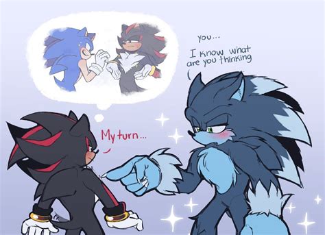 Sonic The Werehog And Shadow
