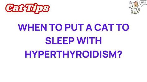 Navigating The Difficult Decision When To Euthanize A Cat With Hyperthyroidism