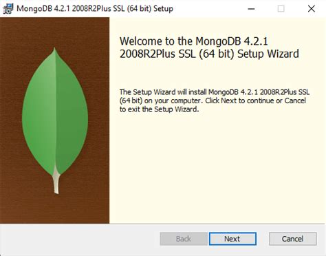 How To Install Mongodb On Windows Errorsea