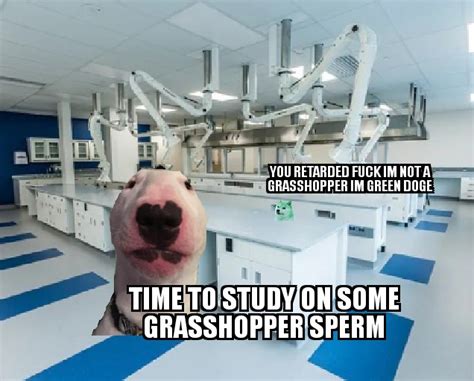 Le Grasshopper Sperm Has Arrived Rdogelore