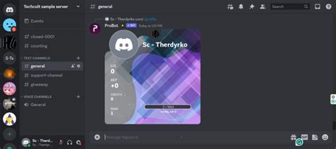 How To Setup And Use Probot On Discord Techcult