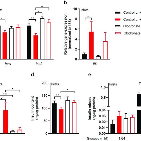 Macrophages Mediate Beta Cell Dysfunction In Pancreatic Islets Download Scientific Diagram