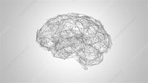 Brain Neural Network Illustration Stock Image F024 4426 Science Photo Library