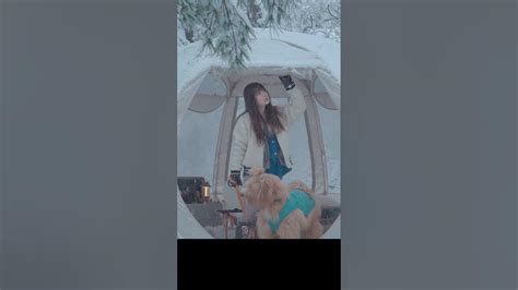 ☃️폭설 내리는 날 강아지와 캠핑하기폭설캠핑캠핑campingsnowcamping캠핑브이로그camp솔로캠핑겨울캠핑 Youtube