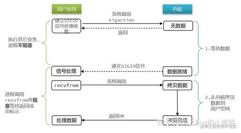 【linux内核】五大经典io模型（原理 动图 代码详解） 知乎