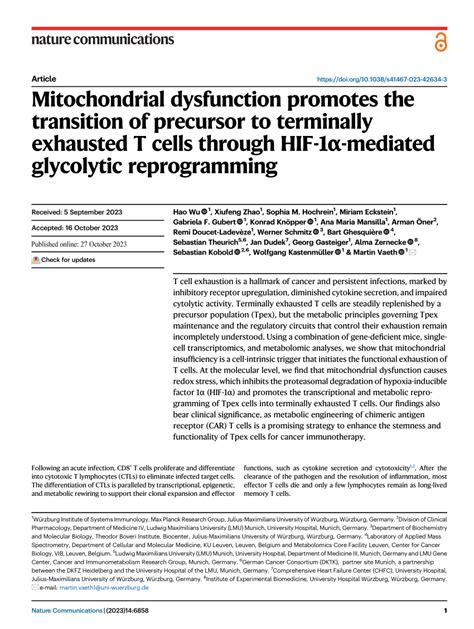 Pdf Mitochondrial Dysfunction Promotes The Transition Of Precursor To
