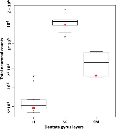Layer By Layer Comparison Of The Average Neuron Counts From Interior