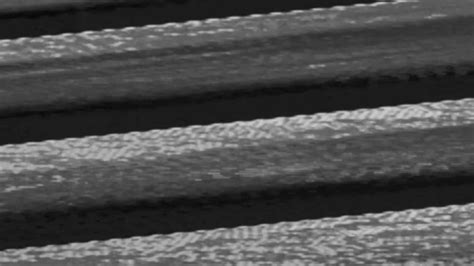 Mushroom On Twitter Stop The Interruptions