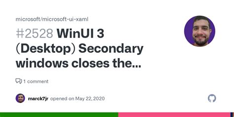 WinUI Desktop Secondary Windows Closes The Application When Try To Resize Them Issue