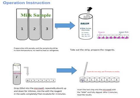 Antibiotic Sensitivity Testing Procedure