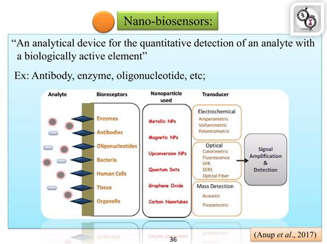 Nanotechnology For Crop Improvement PDF