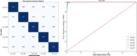 Representations Of Classification Results A Normalized Confusion Download Scientific Diagram