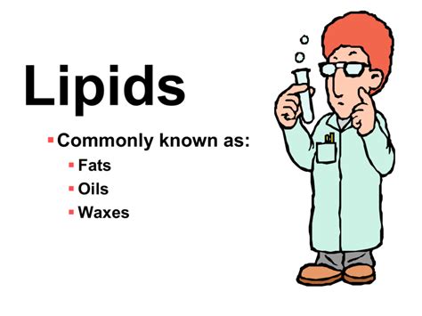 Lipids And Nucleic Acids