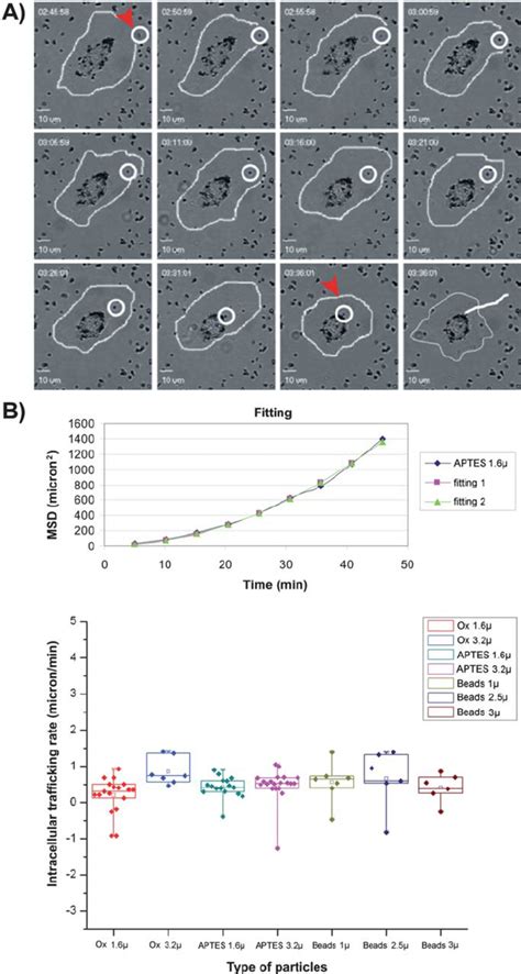 effect of size and shape on the rate of particle migration a manual