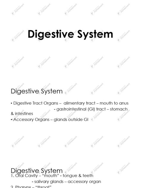 File5 Pdf