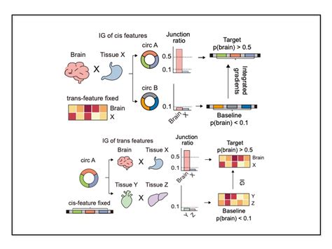 Gao Lab Big Cas