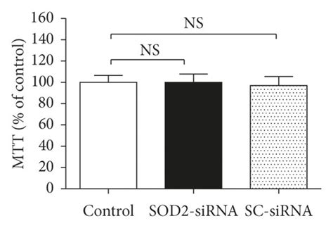 Sod2 Sirna Reversed Curcumin Induced Cytoprotection And Sod2