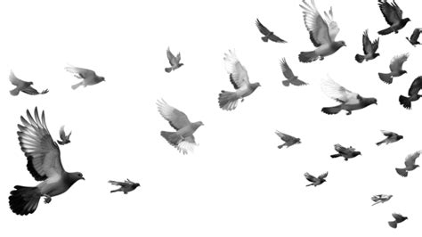 Redactive Enterprise Ai Security Platform