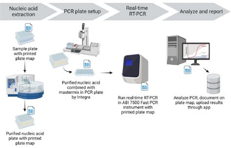 Cctl Real Time Pcr Workflow Nucleic Acid Was Extracted Using The