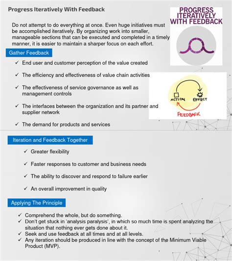 guiding principle 3 progress iteratively with feedback pdf