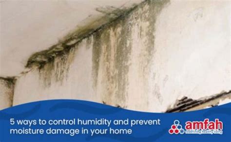 Ways To Control Humidity And Prevent Moisture Damage In Your Home Amfah Redefining Healthy