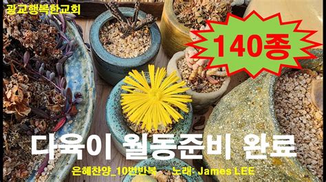 다육이 월동준비 완료광교행복한교회 20231113 Youtube