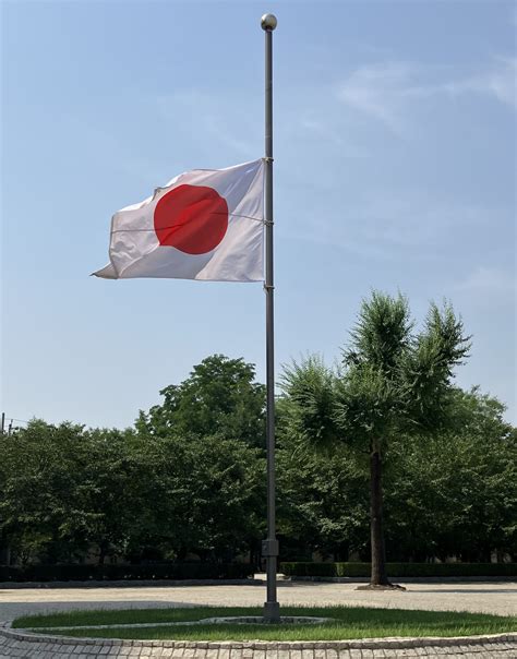 Chinese Woman Who Tried To Stop Knife Attack On Japanese Mother And Son