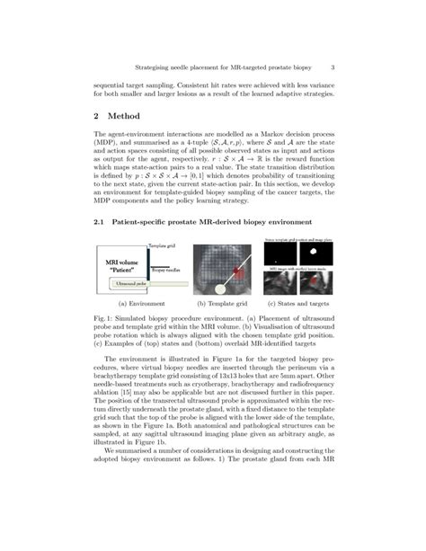 Strategising Template Guided Needle Placement For Mr Targeted Prostate Biopsy Deepai