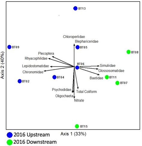non metric multidimensional scaling nms ordination showing