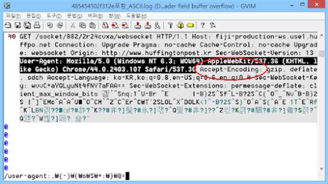 케세라세라 Snort 분석 DELETED WEB IIS header field buffer overflow attempt th