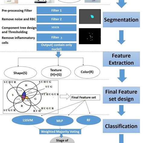 Pdf Automated Classification Of Pap Smear Image To Detect Cervical