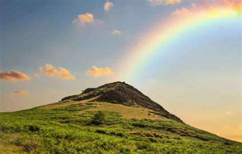 Effective Use Of Biodiversity Mitigation Hierarchy For Development Projects