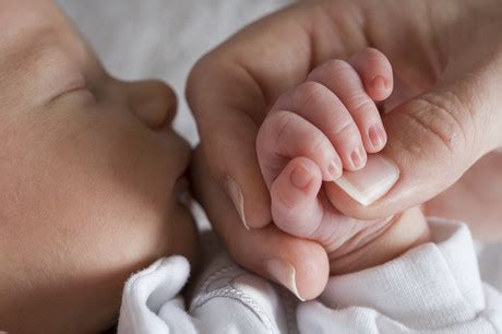 New Discovery About How A Baby S Sex Is Determined
