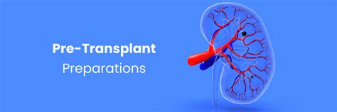 What Are Pre Transplant Evaluations And Preparations Medicover