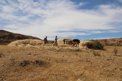 Africa Eritrea Agriculture Free Photo On Pixabay