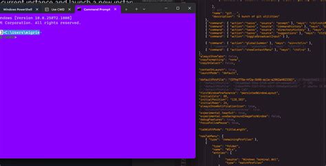 How To Close Terminal App Current Instance And Launch A New Instance Microsoft Terminal