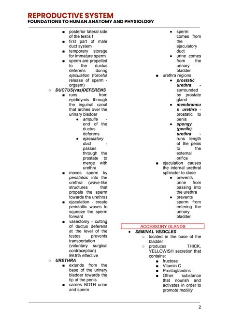 SOLUTION Reproductive System Notes Studypool