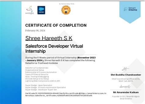 Internship Intern2024 Intern2023 Virtualinternship Salesforcecertified