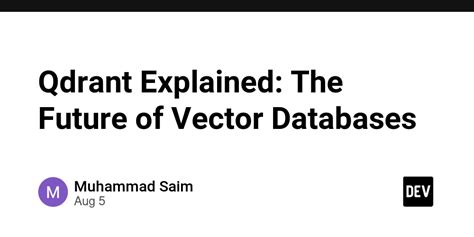 Qdrant Explained The Future Of Vector Databases Dev Community